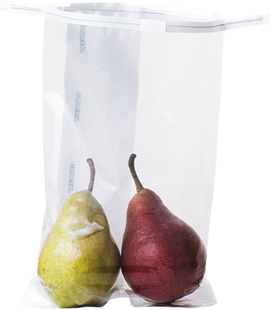 SAMPLE BAGS | ScICO Supply, LLC.